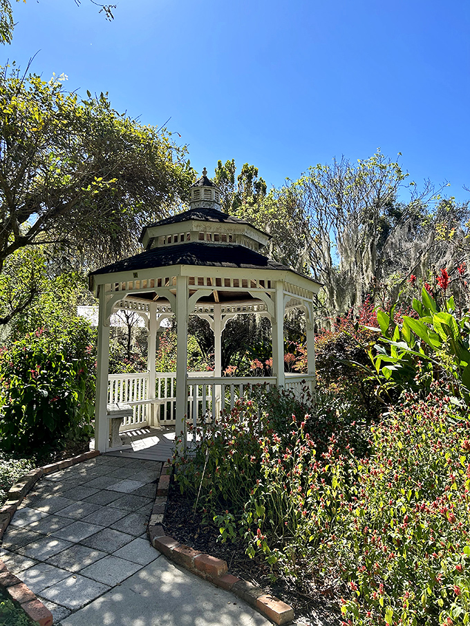 Garden gazebo dreams: This charming structure offers the perfect vantage point for contemplating botanical wonders.
