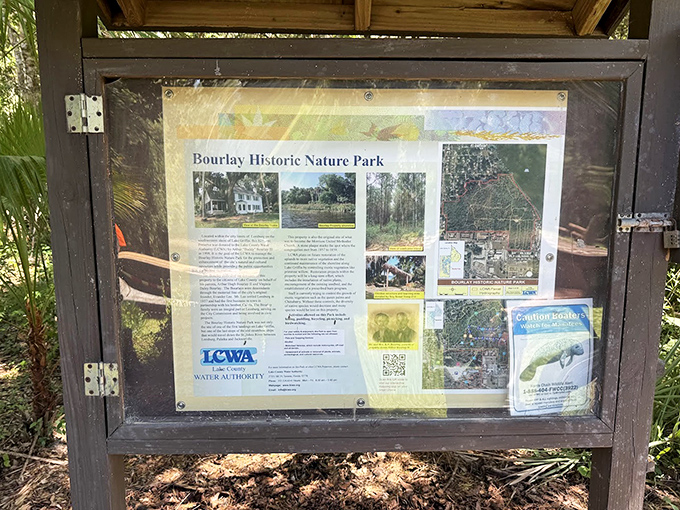 The information kiosk offers a crash course in local ecology, turning a casual walk into an educational expedition.