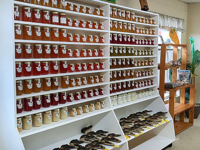 A wall of jarred sunshine &ndash; each container holding the bright, preserved essence of Florida's famous citrus groves.