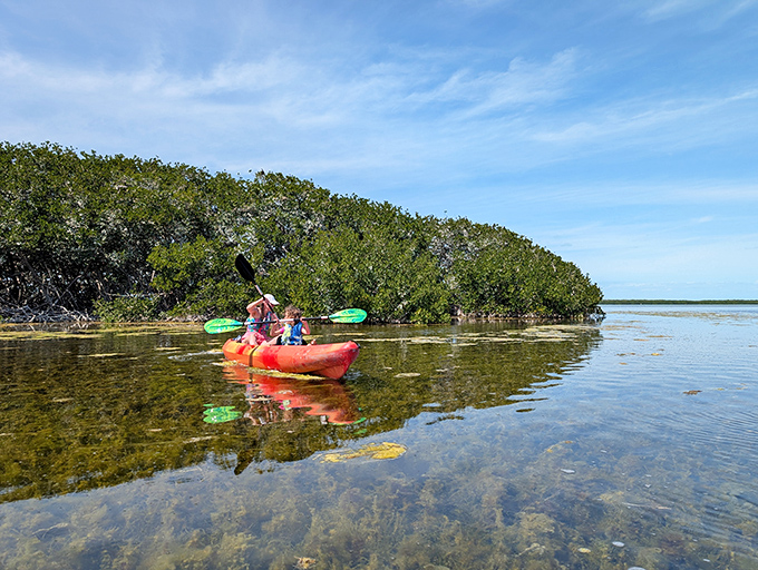 Explore hidden mangrove tunnels and secluded waterways by kayak, where the only sounds are your paddle and the occasional fish splash.