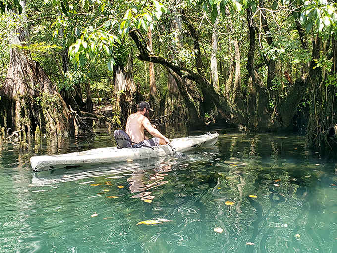 Kayakers glide across transparent waters, experiencing Florida's natural beauty from the best seat in the house.