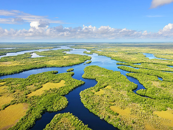 The Everglades from above, a magnificent patchwork quilt of blue and green that Mother Nature has been sewing for millennia.