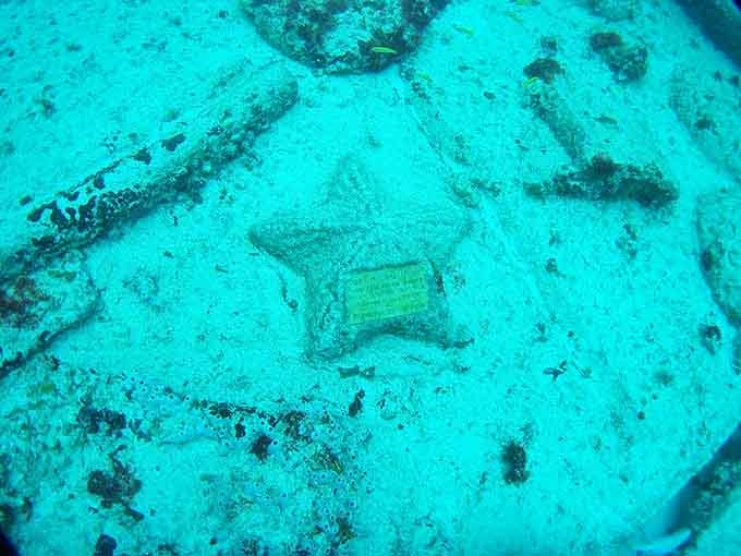 Dive deep and explore this friendly underwater discovery, featuring a star-shaped monument resting peacefully on the vibrant, sandy ocean floor.