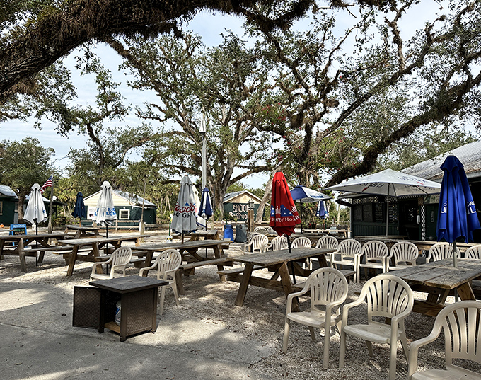 Picnic tables under sprawling oaks create the perfect setting for an afternoon of eating and river-watching.