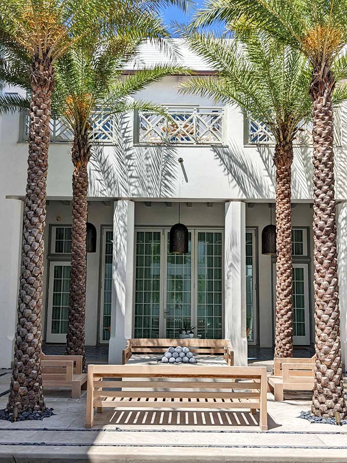Palm sentinels standing guard over wooden benches&mdash;nature's perfect waiting room for sunset admirers.