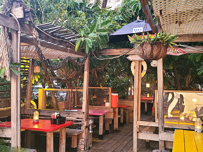 Dappled sunlight filters through the tropical canopy, creating nature's perfect lighting for outdoor dining among the palms.