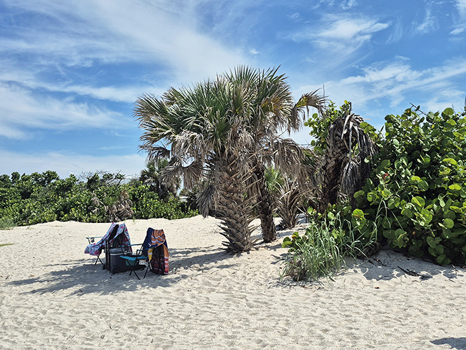 Nature's beach umbrellas provide dappled shade, perfect for those who prefer their vitamin D in reasonable doses.