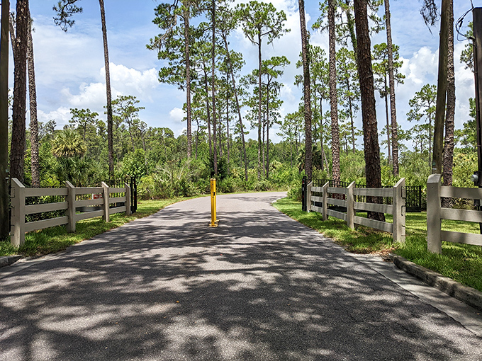 The entrance road: where your blood pressure begins its rapid descent into "wait, why was I stressed again?" territory.