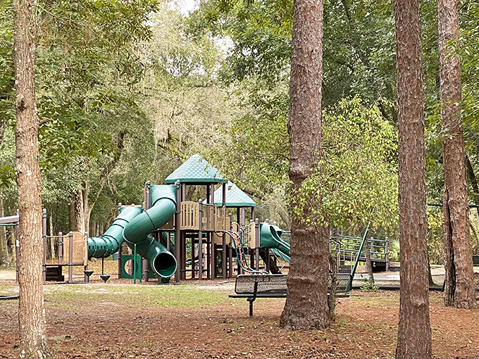 Even playground equipment seems more magical when surrounded by towering pines instead of suburban sprawl.