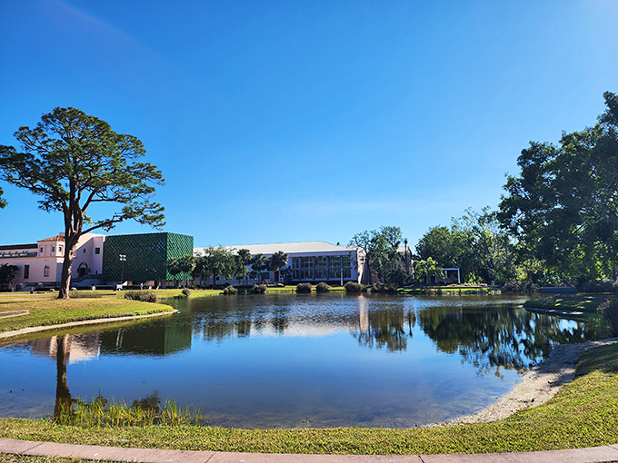 Water so still it doubles as nature's mirror. The fish below are living better than most apartment dwellers.