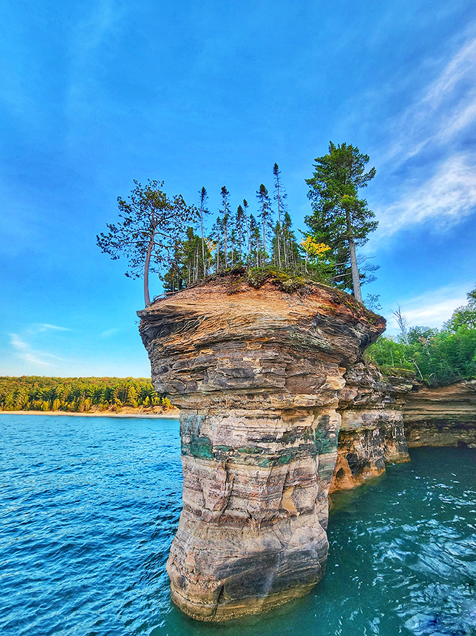 Trees cling tenaciously to clifftop perches, their roots searching for purchase in what seems like impossible growing conditions.