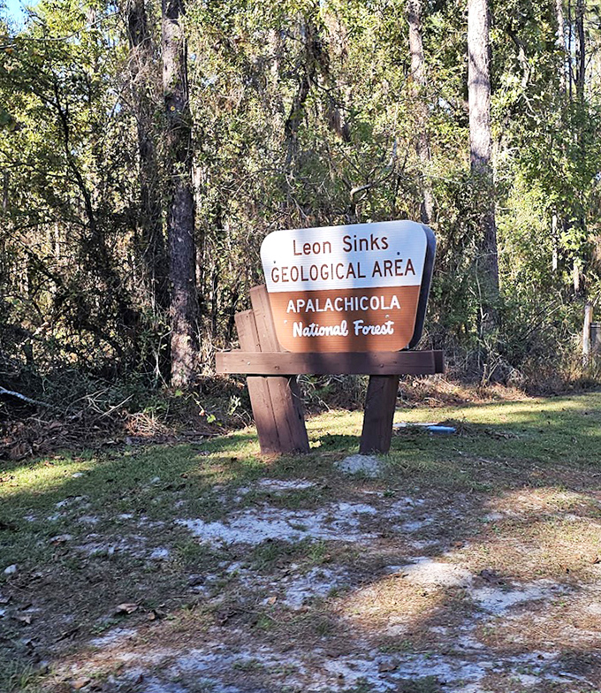 The Leon Sinks Geological Area sign welcomes nature enthusiasts to this remarkable karst landscape.