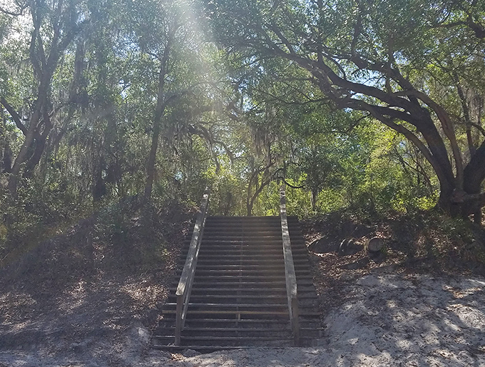 These steps lead from civilization back to the wild river &ndash; a stairway to adventure that countless paddlers have descended with excitement.
