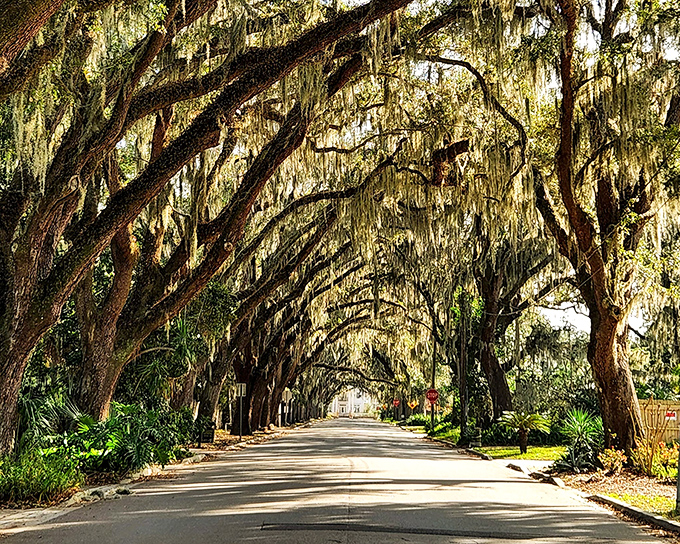 This street doesn't just connect two points &ndash; it connects visitors to a sense of wonder that stays with them long after they've returned to ordinary roads.
