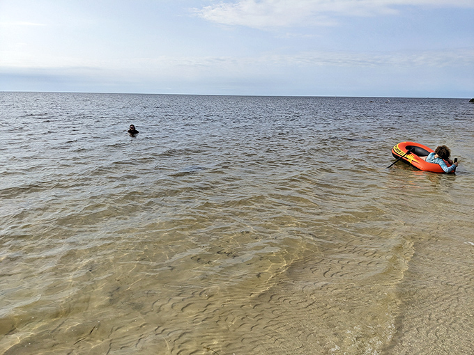 The shallow, clear waters invite cooling off on hot Florida days, where every splash becomes part of the natural symphony of this coastal paradise.