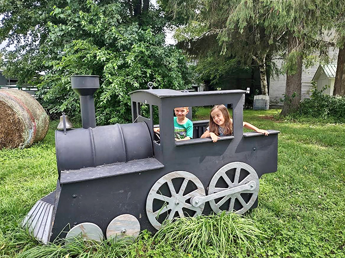A playful photo opportunity for young visitors – because what childhood is complete without pretending to drive a train through elk country?