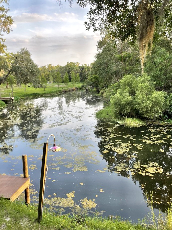 The serene Braden River flows past the restaurant, offering diners glimpses of turtles, birds, and occasionally alligators in their natural habitat.