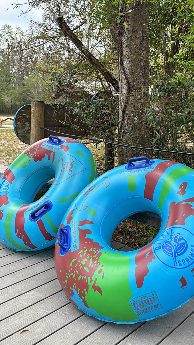 These colorful tubes aren't just flotation devices; they're your tickets to the world's most perfect lazy river.