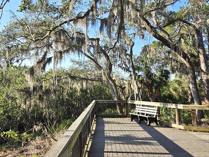 A bench perfectly positioned for contemplating life's big questions or just resting tired feet &ndash; philosopher's choice.
