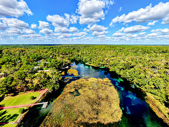Florida's wild heart revealed from above – a patchwork of forest, wetland, and the blue veins of rivers that sustain it all.