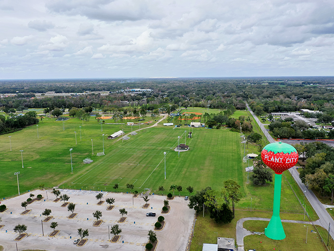 This aerial view reveals how the tower has become the centerpiece of Plant City's landscape, a fruity North Star for locals and visitors alike.