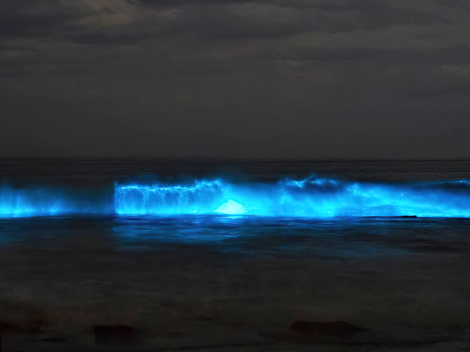 Where ocean meets shore, waves deliver their cargo of light, painting the beach with temporary constellations.