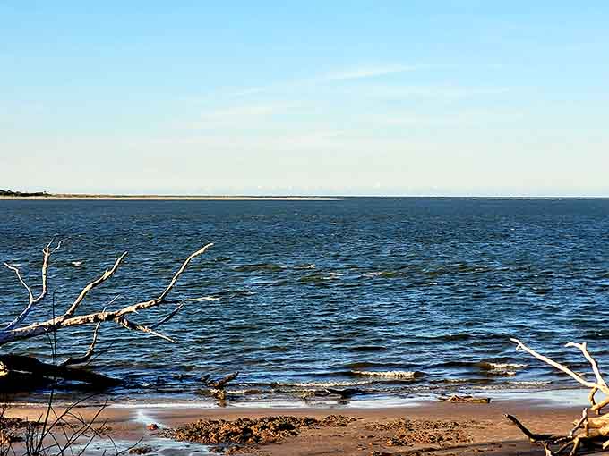 The stunning interplay of wood, water, and sky creates a scene so photogenic it practically begs you to pull out your camera and start clicking.