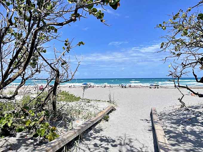 Paradise found &ndash; this pristine beach access reveals why Jupiter's shoreline remains one of Florida's most beloved coastal treasures.