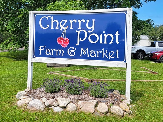 The iconic Cherry Point Farm sign &ndash; your signal that you've arrived at Michigan's most fragrant destination, where purple dreams come true.