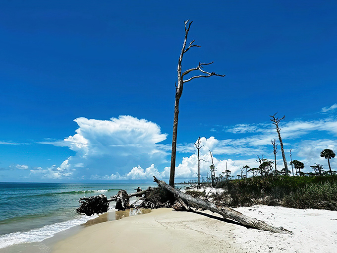 The endless horizon stretches beyond wooden sentinels, a reminder that some coastlines still belong more to nature than to us.