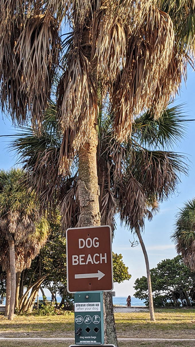 The most beautiful sign in dog language: "Beach this way" &ndash; three words that translate to "unlimited zoomies ahead."