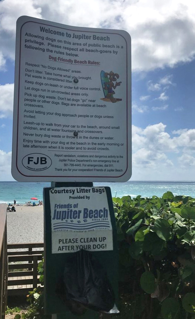 The rules are simple at Jupiter Dog Beach: respect others, clean up after your pup, and create memories that last a lifetime.