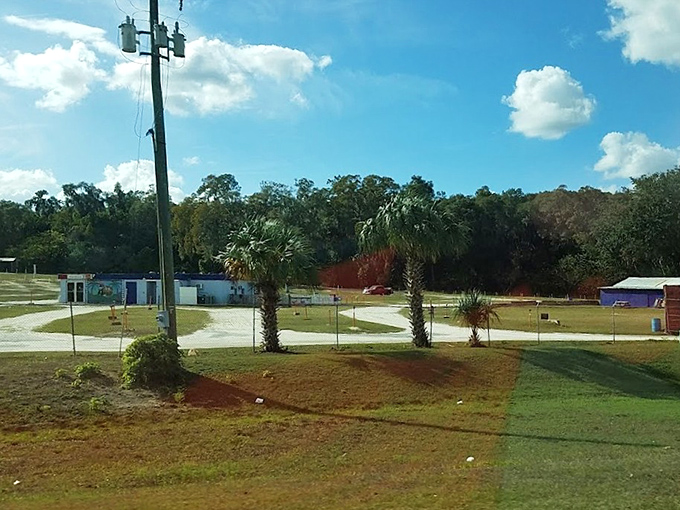 Palm trees frame the grounds of this Florida institution, where the simple pleasure of outdoor movies has survived the digital revolution.