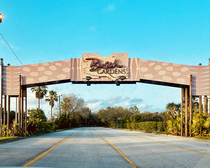 Entrance: The iconic Busch Gardens archway stands as a portal between everyday life and extraordinary adventure, promising memories that will last a lifetime.