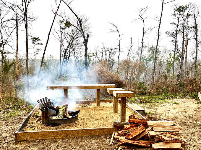A campfire pit surrounded by seating &ndash; where the best stories are told and marshmallows meet their delicious, gooey fate.