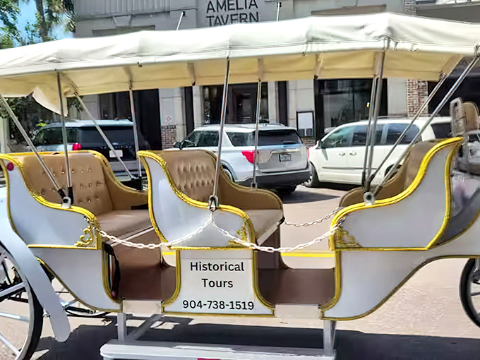 Horse-drawn carriage tours – because some stories are best told at four miles per hour with the clip-clop soundtrack of history.