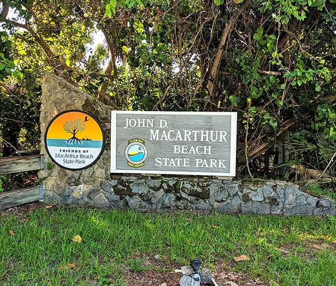 Spring basin panorama: The main attraction in all its glory &ndash; a natural swimming pool that puts man-made versions to shame with its perfect design.