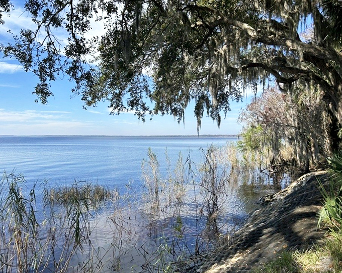 The spring's journey ends at this expansive waterway, where the intimate forest setting opens to vast skies and horizon-stretching views.