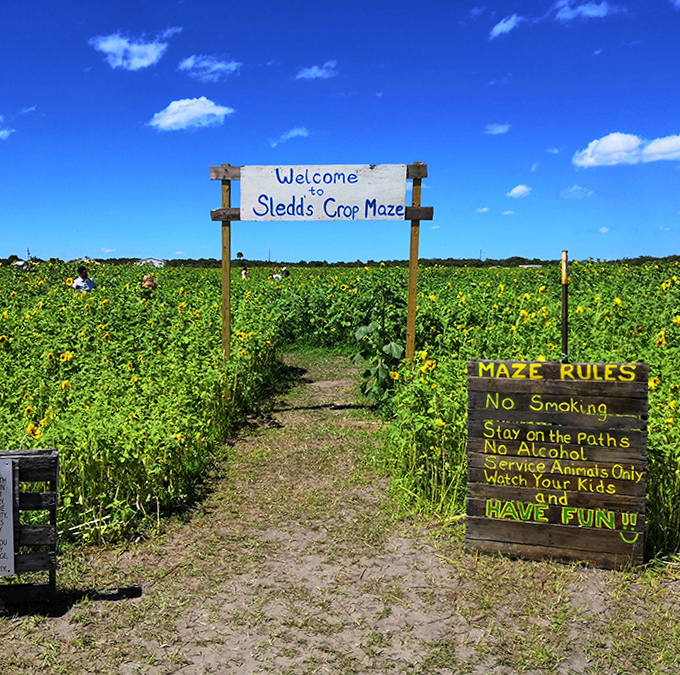 The maze entrance beckons with its simple wooden archway and hand-painted rules&mdash;a portal to unplugged adventure in a world of digital distractions.