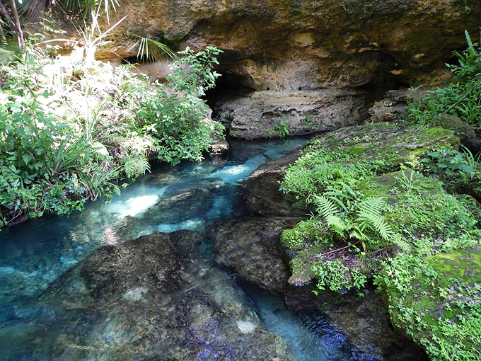 Nature's own stained glass &ndash; sunlight plays through crystal waters, creating mosaic patterns on the limestone spring bottom.