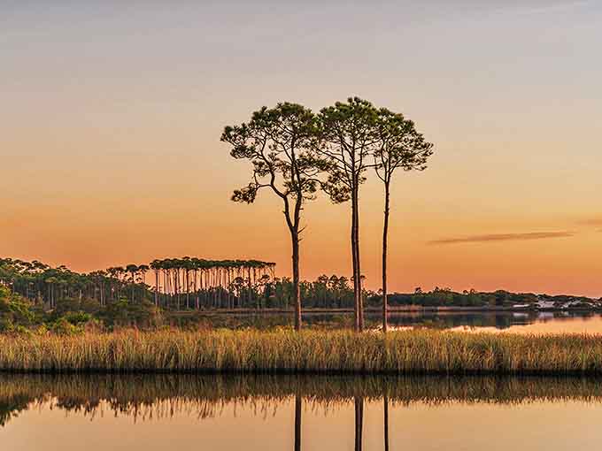 Coastal dune lakes reflect the sky's changing colors, showcasing one of Earth's rarest ecosystems found in only a handful of places worldwide.
