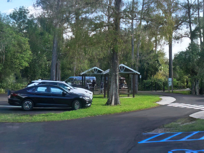 The humble launching point for extraordinary adventures, where everyday concerns are left behind in favor of wild Florida's embrace.