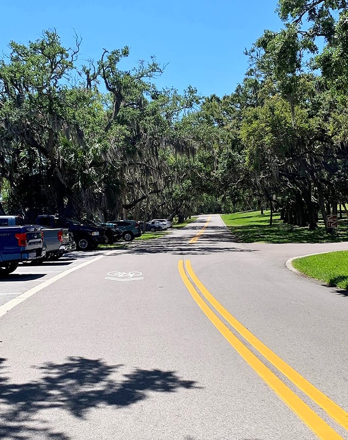 Seasonal splendor transforms this leafy corridor throughout the year, offering a different experience with each visit.