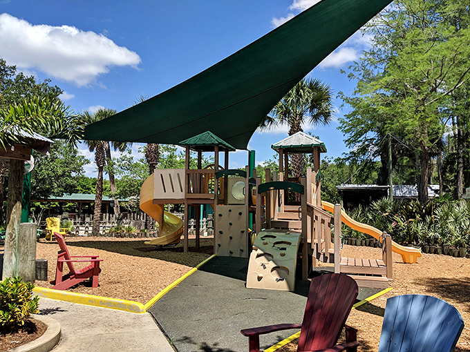 The playground provides a safe space for little explorers to burn off energy while parents recover from their close encounters with reptiles.