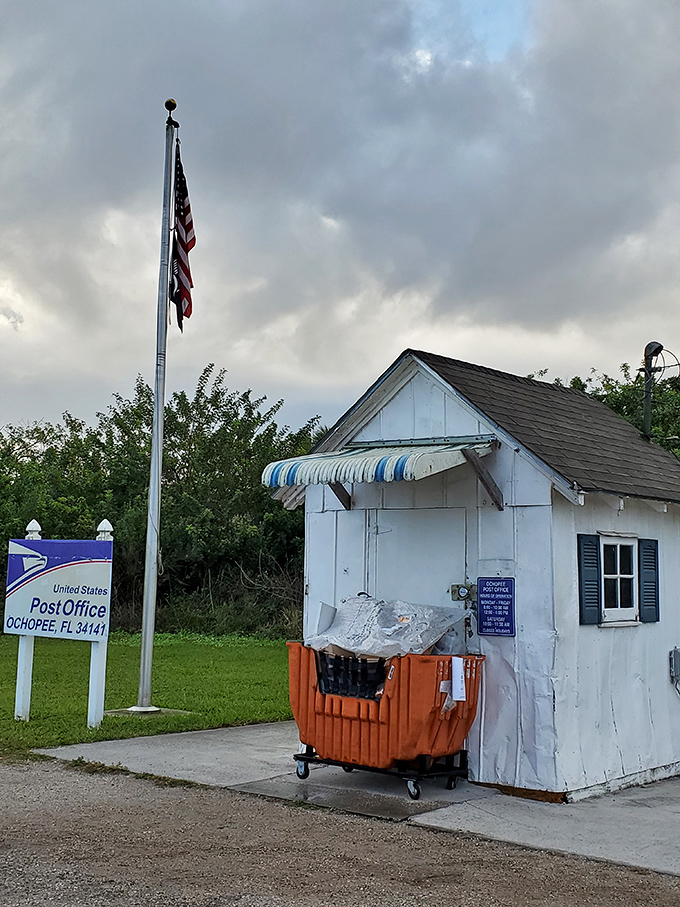 The distinctive blue and white awning provides a touch of charm to this functional piece of Americana on the edge of the Everglades.