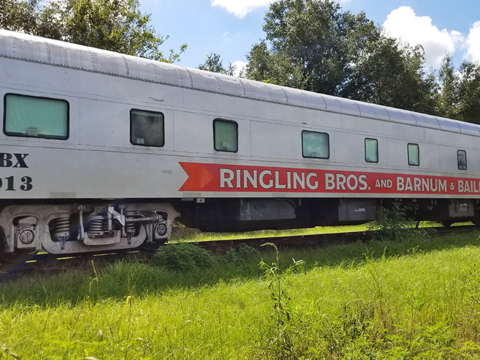A genuine Ringling Bros. and Barnum & Bailey circus car rests in quiet retirement, holding countless stories of America's greatest traveling show.