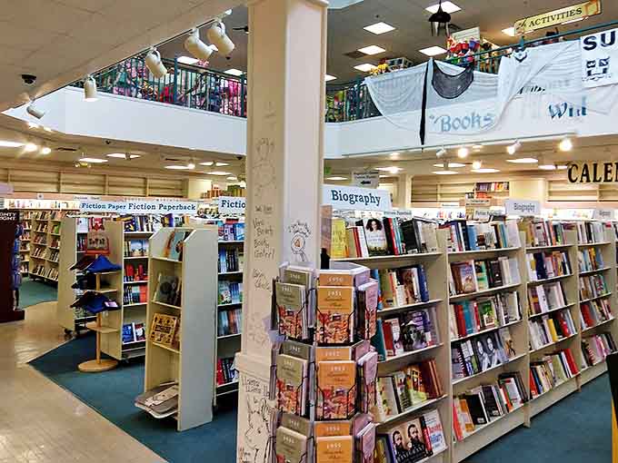 Meticulously organized shelves create a bibliophile's paradise where hours disappear as quickly as the pages of a can't-put-down novel.