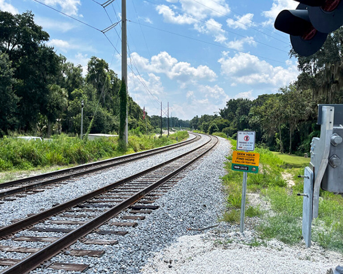 Rural tracks cut through Florida's natural landscape, a reminder that beyond the theme parks lies a state of surprising wilderness and natural beauty.