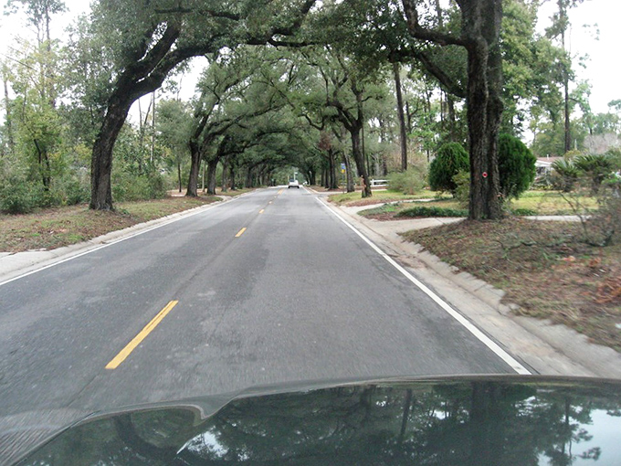 The perfect cure for modern life: a slow cruise beneath these venerable oaks where time seems to stand wonderfully still.