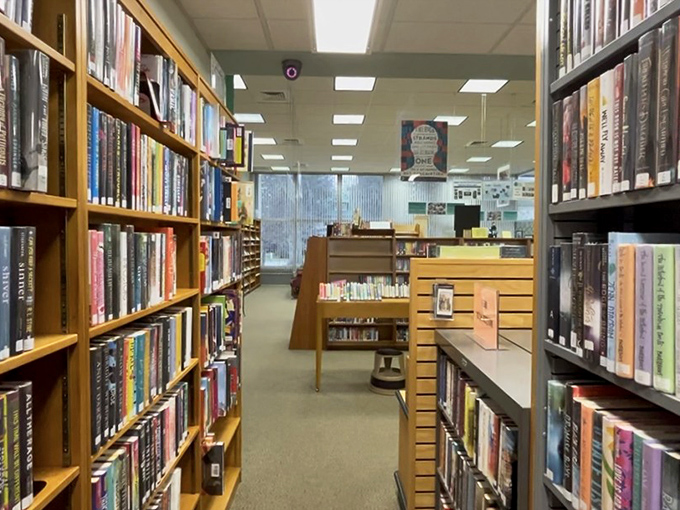 Between the stacks at Schultz-Holmes Library, bibliophiles find quiet corners perfect for literary escapes and air-conditioned refuge on hot Michigan afternoons.